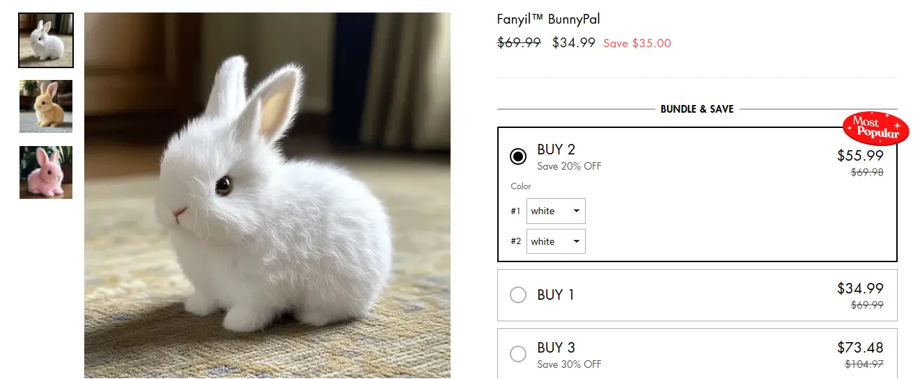 Fanyil BunnyPal Review: Beware Of This Bait & Switch Scam! – Infoquu