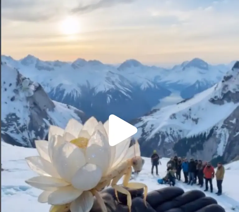 FACT CHECK: Is this video of a Lotus Mantis real or fake? – Infoquu