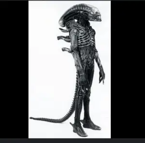 FACT CHECK: Is Xenomorph frog real? – Infoquu