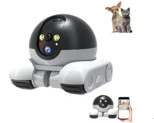 Is Blinky Bot Worth the Hype? I Tried It, and Here’s My Honest Review ...