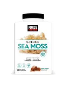 Force Factor Sea Moss Review 2025 – Immune, Skin & Gut Claims Investigated – Infoquu