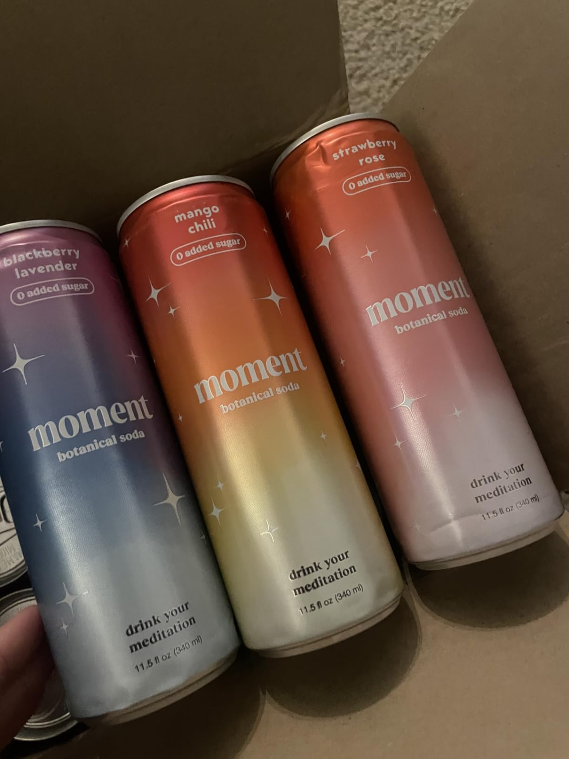 Is Moment Botanical Soda Worth the Price? My Real & Honest Review – Infoquu